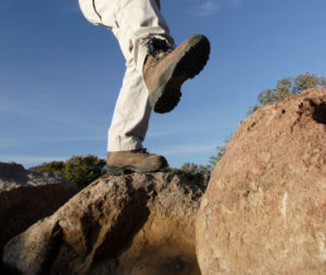 Stepping Forward… Toward Your Goals. – Time Management Ninja