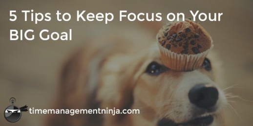 5 Tips to Keep Focus on Your BIG Goal – Time Management Ninja